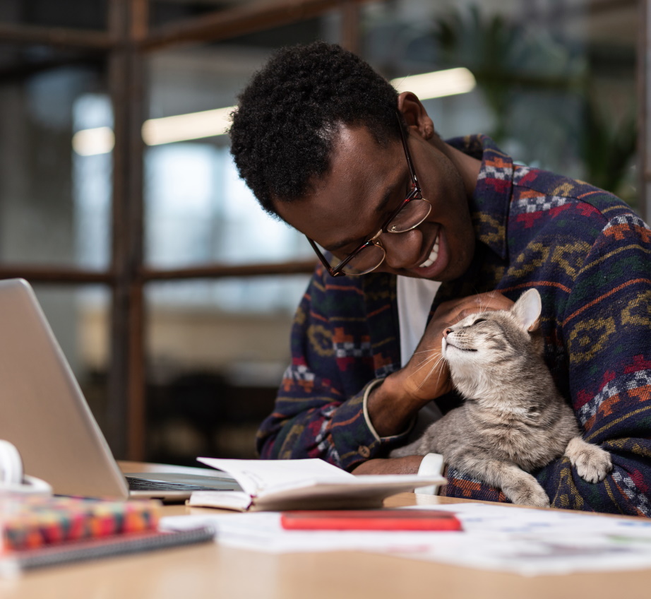 Careers - Cats Protection